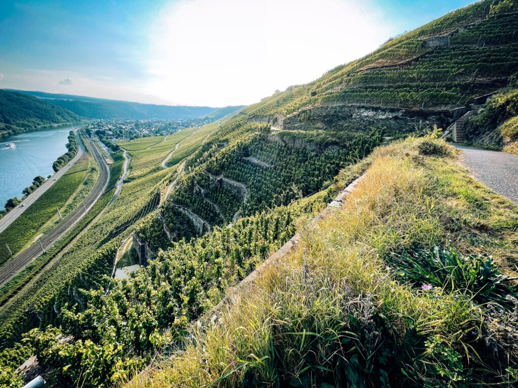Brückstück Weinpfad • Winninger Weinpfade • Wandern in Winningen an der ...
