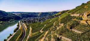 Brückstück Weinpfad • Winninger Weinpfade • Wandern in Winningen an der ...